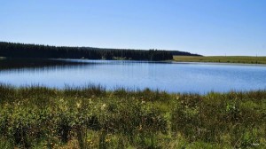 Au fil de l'eau…vergnat Le Lac de Bourdouze