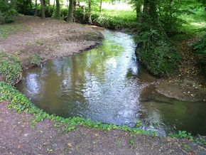 Au fil de l'eau…vergnat L’Auzon dans la Coulée Verte du Cendre
