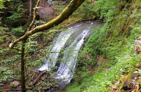 Au fil de l'eau…vergnat La cascade de la Vernière